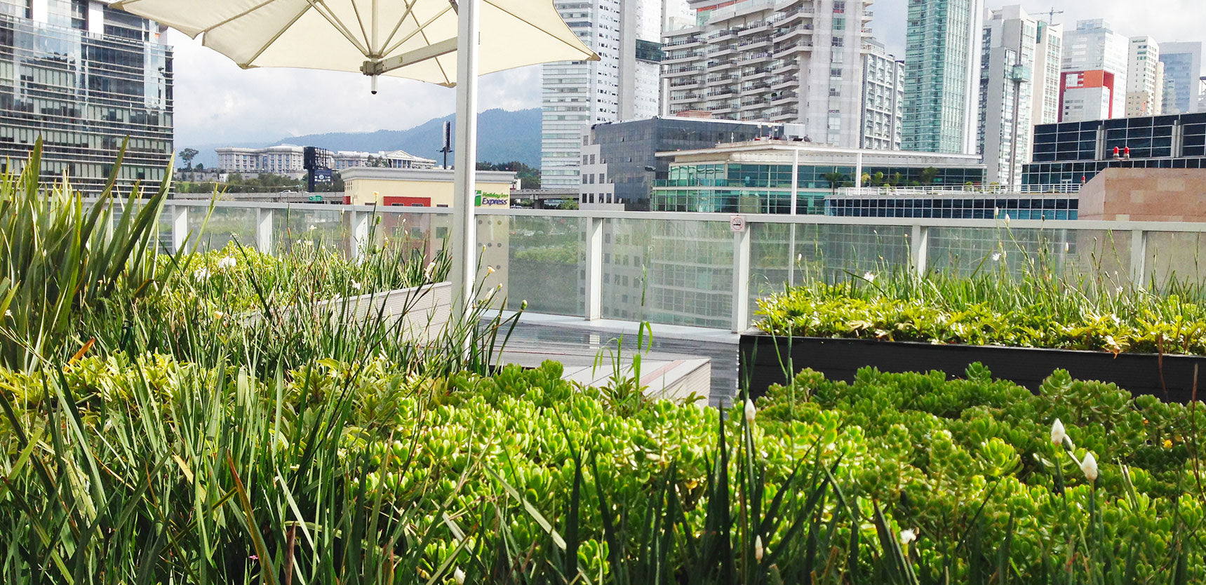 Diseño de Azoteas y Muros Verdes – verdemodular